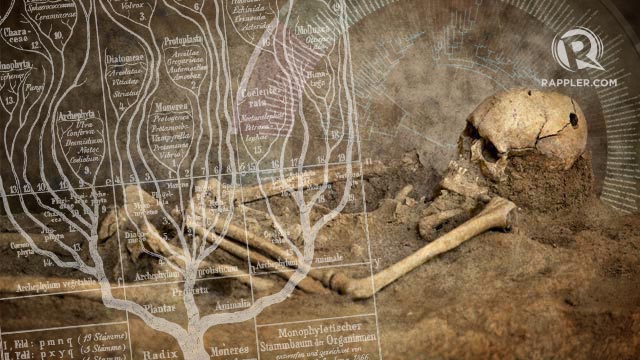 How do I bury thee: an ode to extinction