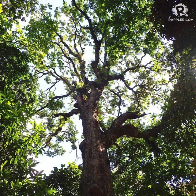 Walking Rizal’s steps: Where to go in Dapitan, Zamboanga del Norte