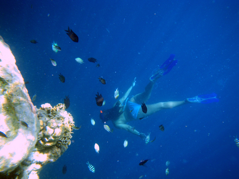 Free diving: No equipment, just you and the water