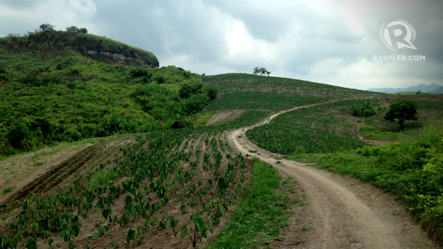 Greener mountains for an Aeta community