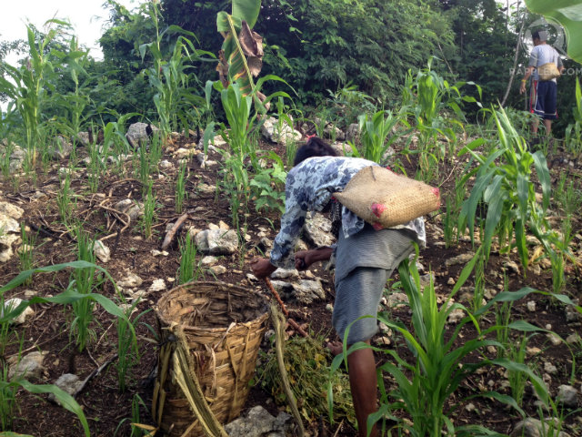 Myths about the Mangyan