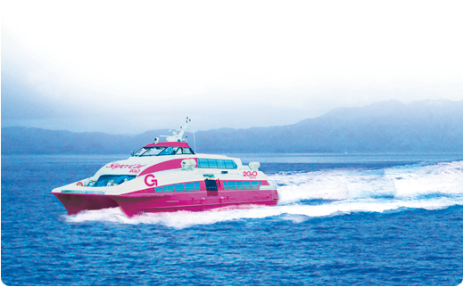 2GO appoints new CFO, reports lower 2015, 2016 profits
