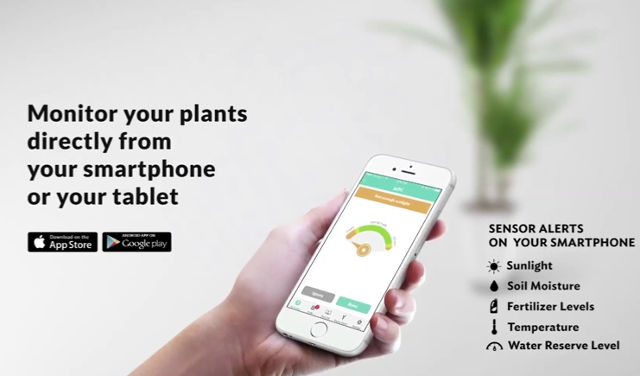 'Smart pot' watches over house plants