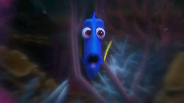 WATCH: Dory 'sleep-swims' in first 'Finding Dory' trailer