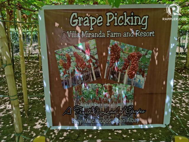 Albay couple turns unproductive riceland into bustling agritourism farm