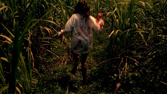 ‘Silong’ Review: Worth the risks