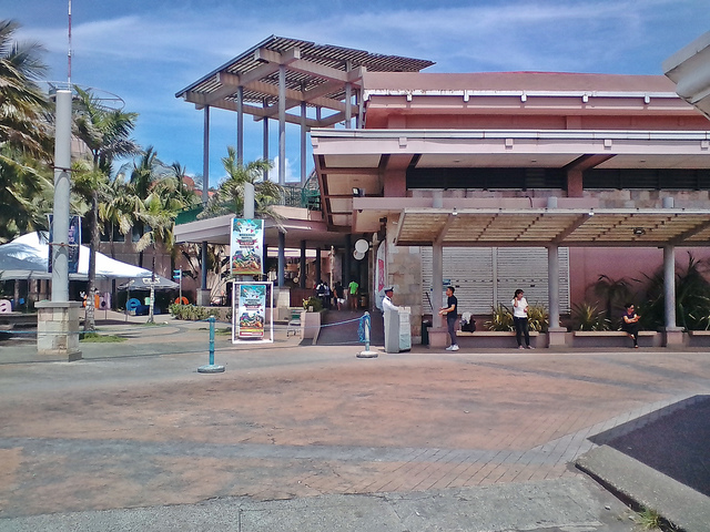 Home – THE BEAUTY OF ALBAY