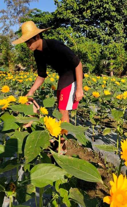 Kim S Garden Tarlac City | Fasci Garden