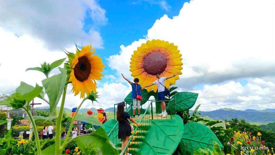 Sunflower Maze Farm Rizal | Best Flower Site