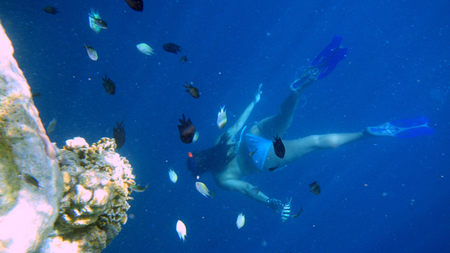 Free diving: No equipment, just you and the water