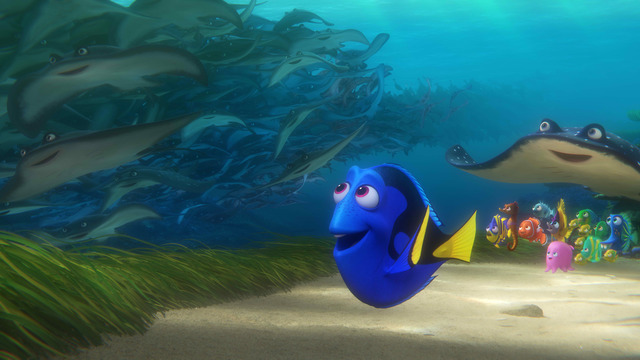 'Finding Dory' review: Worth the memory trip