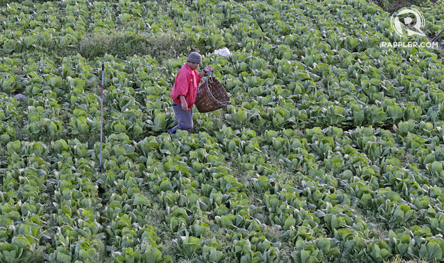 More jobs in a green economy – ILO report