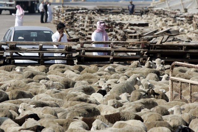 Hajj goes high-tech for bloodless Eid sacrifices