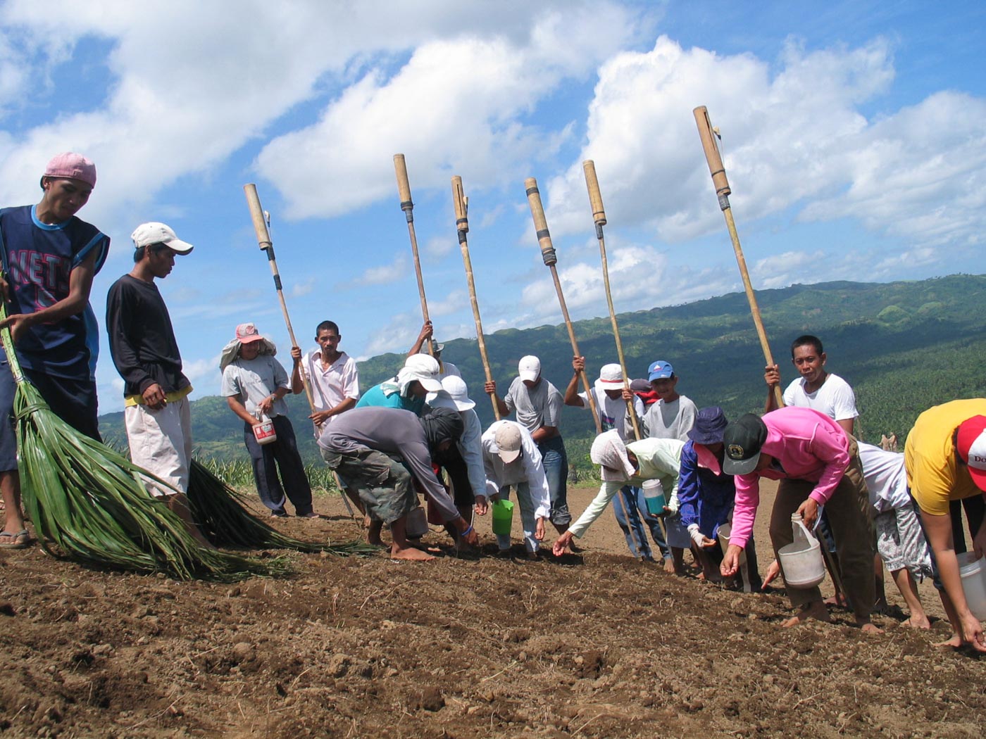 Philippine agriculture news and updates | Rappler