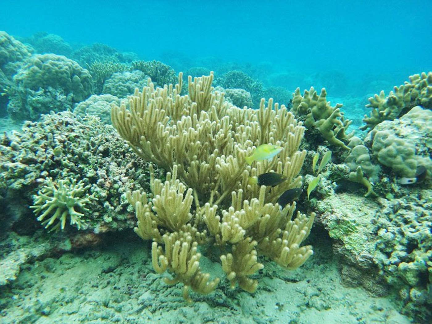 2019 bucket list: 6 stunning nature destinations in the Philippines