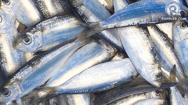 San Marino brand stops making canned tawilis