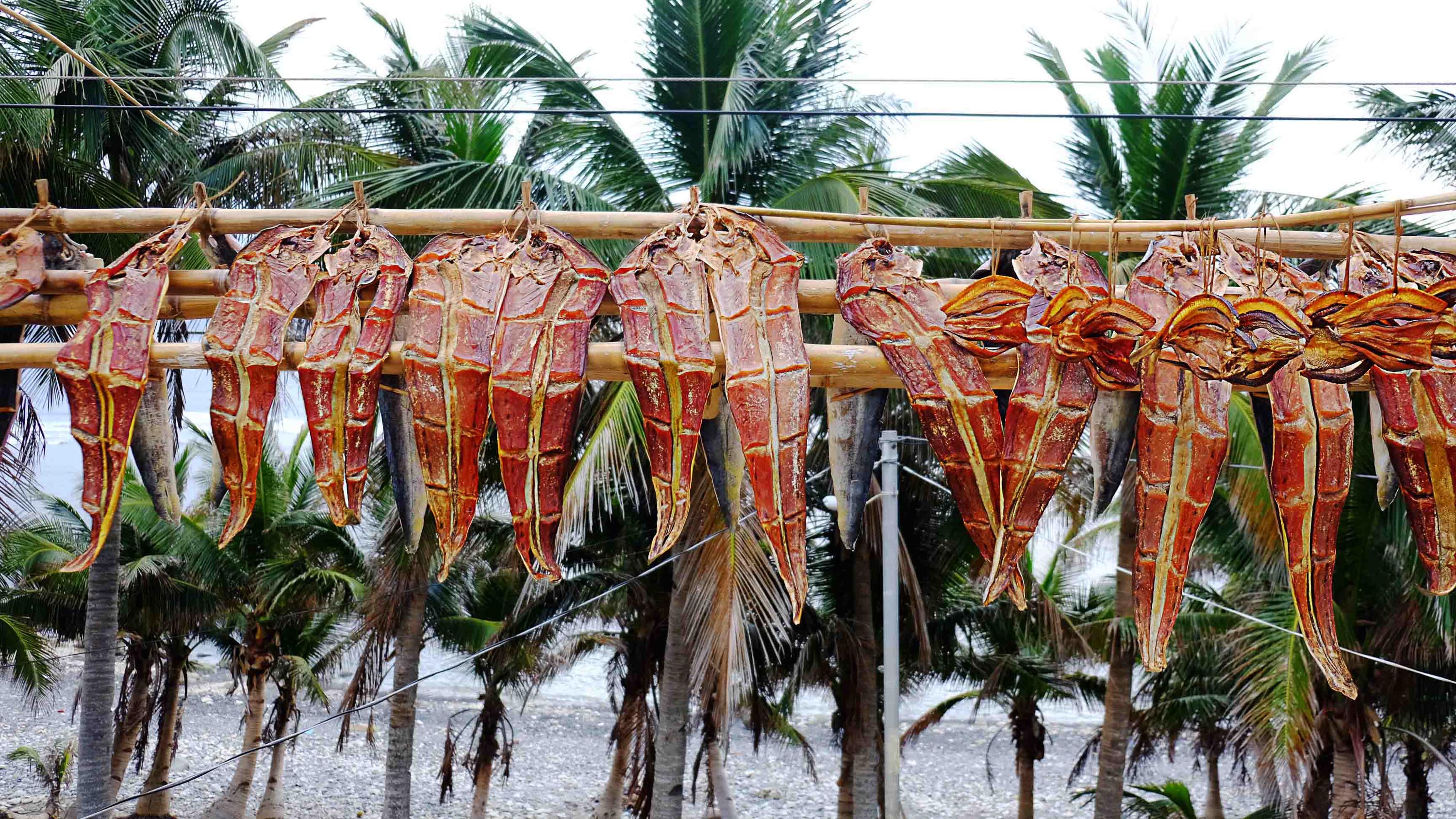 In Batanes, an age-old fishing tradition lives on