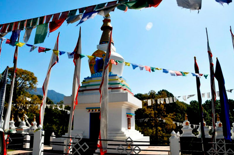 Peace, reflection, solitude in Dharamsala, India