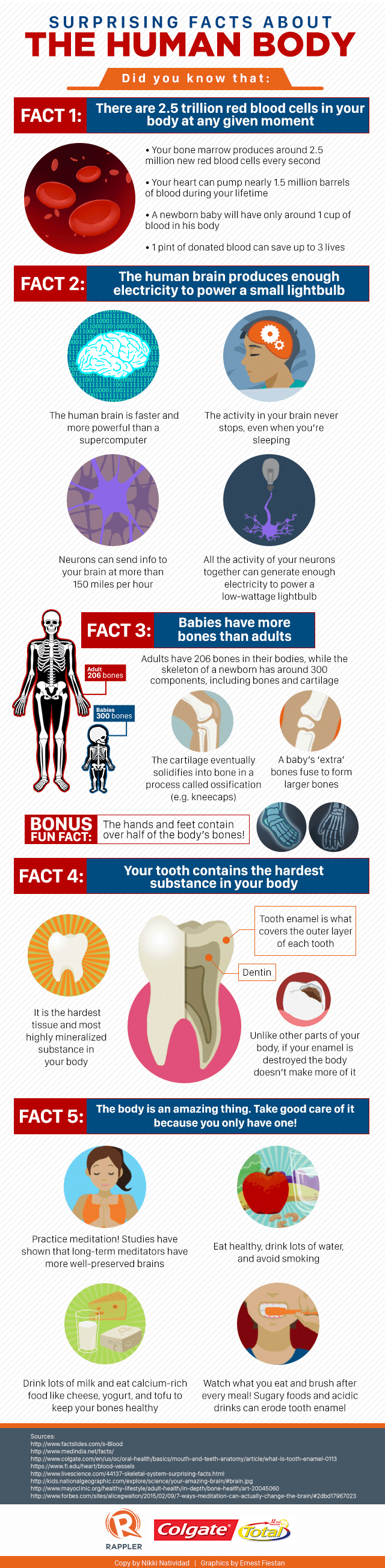 Surprising facts about the human body
